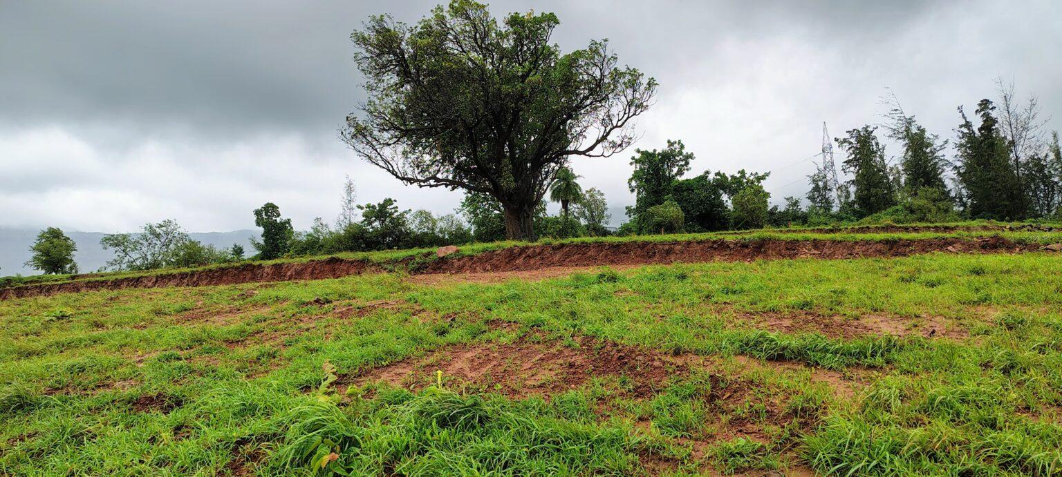 Blue Sapphire – Smart Corner Properties